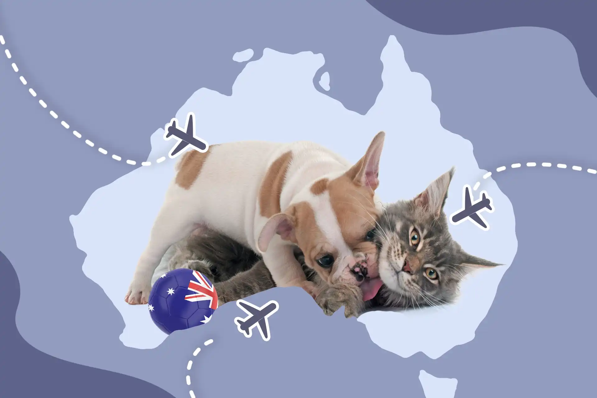 Dogtainers | Domestic and International Pet Transport